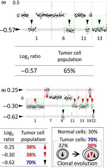 Results Of Array Comparative Genomic Hybridization Cgh Analysis For