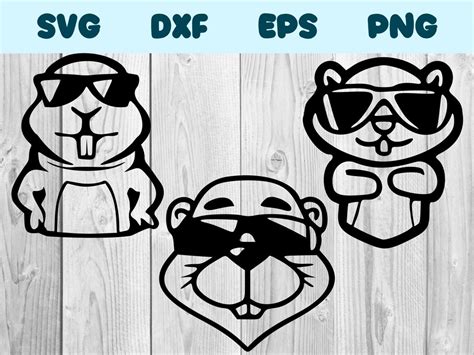 Gopher Wearing Sunglasses Svg Gohper With Glasses Png Groundhog Clipart Groundhog Vector Bundle