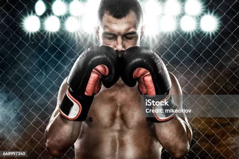 권투 케이지에서 완벽한 승리를 축하하는 스포츠맨 무에타이 복서 조명과 연기와 배경입니다 공간을 복사합니다 스포츠 개념입니다