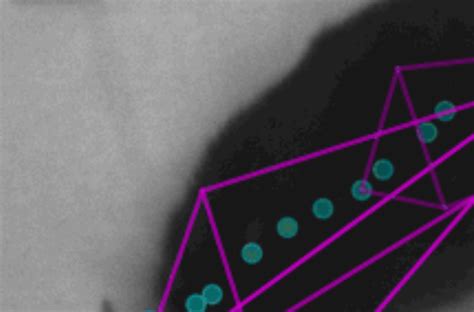 How To Plot Skeleton And Trailing Points In Video Question · Issue 392 · Deeplabcut
