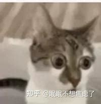 SVN报错database disk image malformed additional errors 修复记录 知乎
