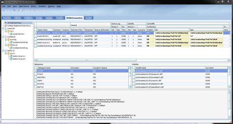 Quest Backup Reporter Carajandb