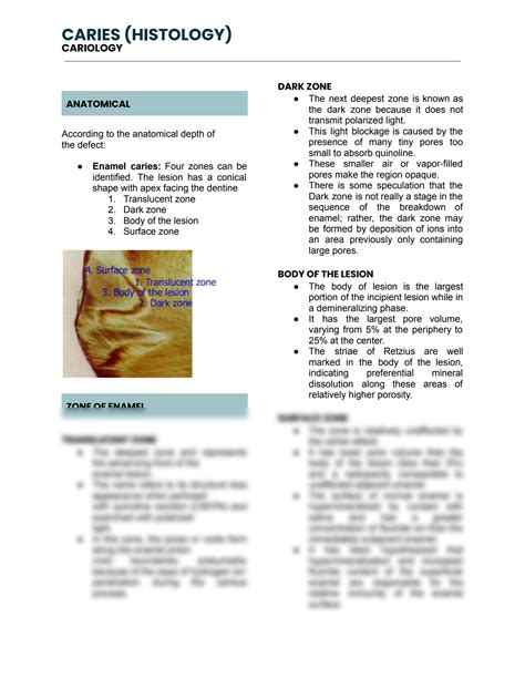 Solution Caries Histology Studypool
