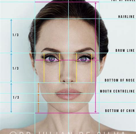 Pin By Sussan Karimi On Painting Portraiture Drawing Proportion Art