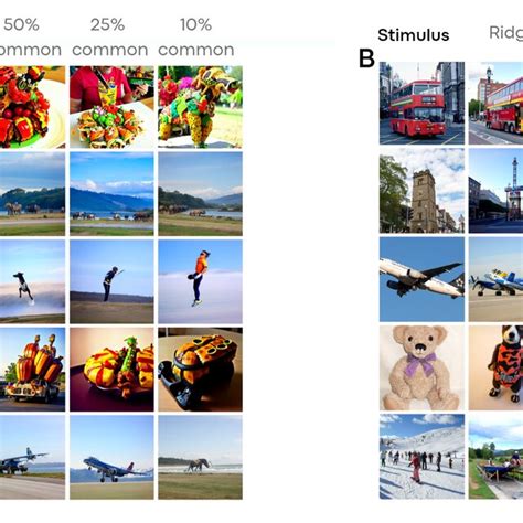 A This Figure Compares Ridge Regression Functional Alignment Over Download Scientific Diagram