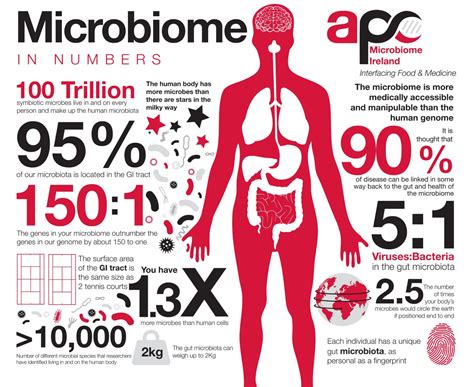 How To Improve Your Microbiome And Why You Should According To A Gp
