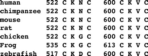 Alignment Of The Two Cxxc Motifs In The Disintegrin Cysteine Rich Download Scientific Diagram