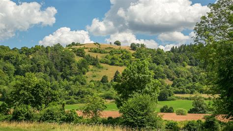 Wallpaper Trees Grass Green Hill Clouds 2880x1800 Hd Picture Image