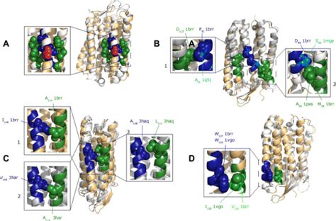 Mutation Interaction Types Four Mutation Interaction Types Are