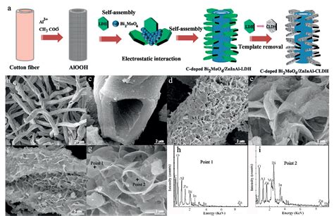 Figure 3 From Three Dimensional Biogenic C Doped Bi2moo6 In2o3 Zno Z Scheme Heterojunctions