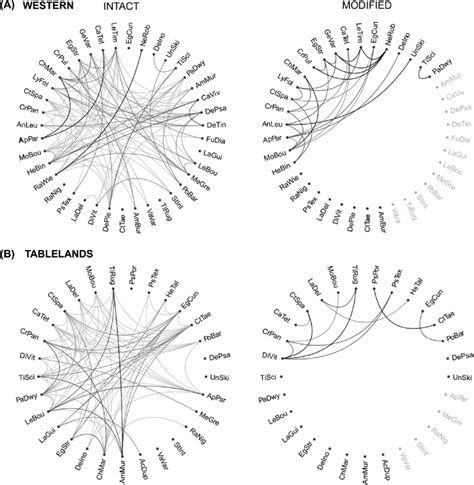 Species Co Occurrence Networks Derived From Reptile Communities In Download Scientific Diagram