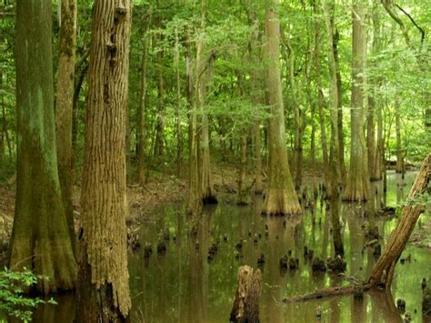 Sex In National Parks Where People Are Having It Most National Parks Blog