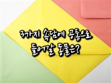 속담퀴즈 다음 빈 칸에 들어갈 색깔은 퀴즈에브리띵 상식퀴즈 사이트 넌센스퀴즈 사이트 심리테스트 사이트 추리퀴즈 사이트 두뇌발달 인지기능 향상 퀴즈사이트