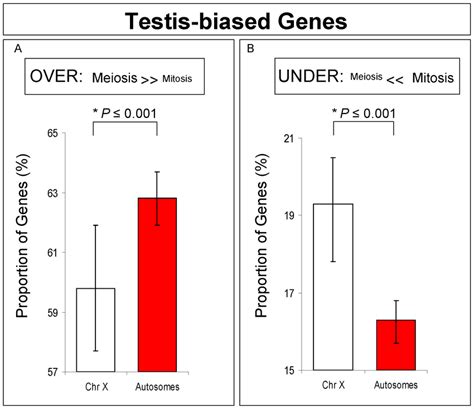 Testis Biased Genes Expression For X Linked And Autosomal Linked Download Scientific Diagram