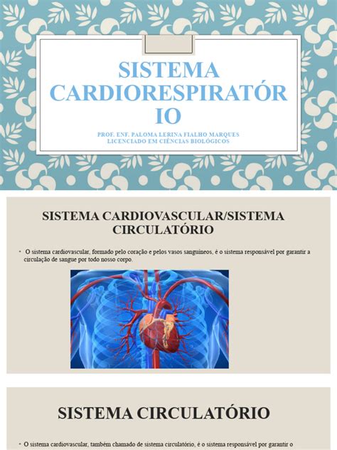 Sistema Cardiorespiratório Pdf Sistema Circulatório Coração