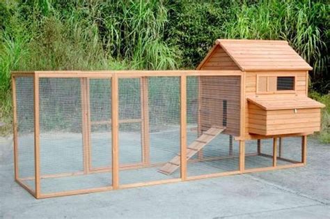 Зимний всесезонный курятник на 10 кур. Наша подборка 8 примеров