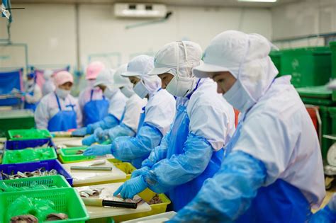 บริษัท เซาท์เทอร์น ซีฟูด โปรดักส์ จำกัด