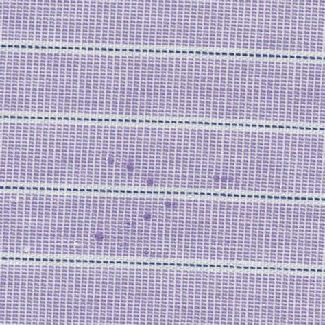 Fabric Object Detection Dataset And Pre Trained Model By AHPU