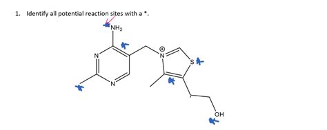 Solved Code Classasciimathidentify All Potential Solved Code Classasciimathidentify All Potential