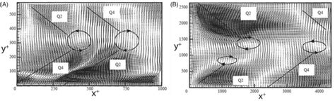 From Piv Measurements Of Instantaneous Fluctuating Velocity Field At