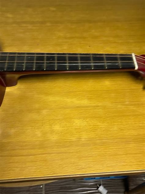 Akustična Gitara