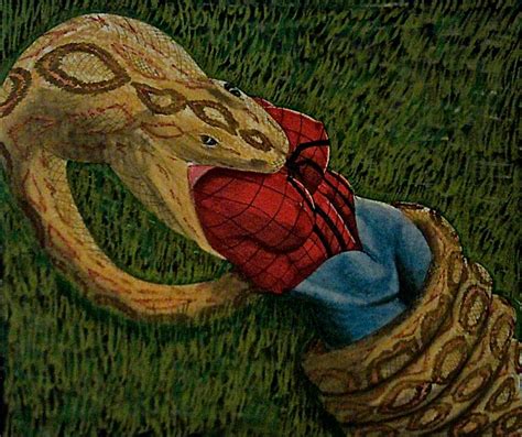 Snake Vore 0218 By Majoro On Deviantart