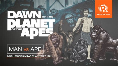 Man Vs Ape Much More Similar Than You Think