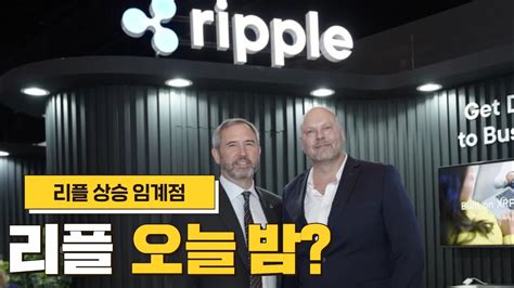 리플 비트코인 이더리움 이르면 오늘밤 252억 리플 이동 어디로 Youtube