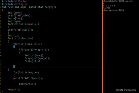 指针练习作业 csdn博客