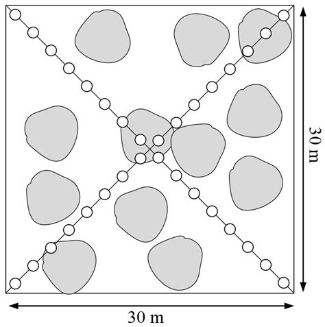 Remote Sensing Free Full Text Quantifying Understory And Overstory Vegetation Cover Using