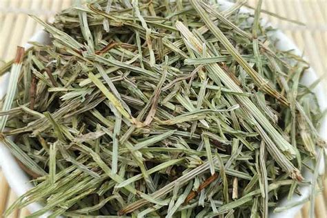 Wen Jing Wenjing Wen Jing Tang Wen Jing Pian For Sale Native Chinese