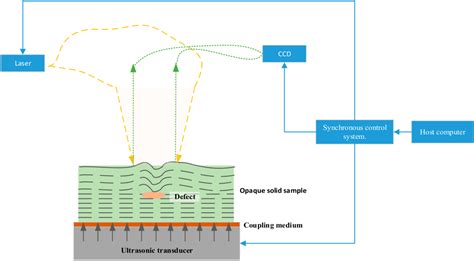 Figure 1 From Measurement Of A 3d Ultrasonic Wavefield Using Pulsed Laser Holographic Microscopy
