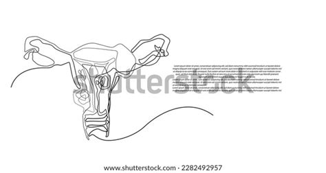 Continuous Line Vagina One Line Drawing Stock Vector Royalty Free