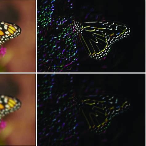 Examples Of The Blur Feature In Defocus Blur Left Defocus Blur Of The Download Scientific