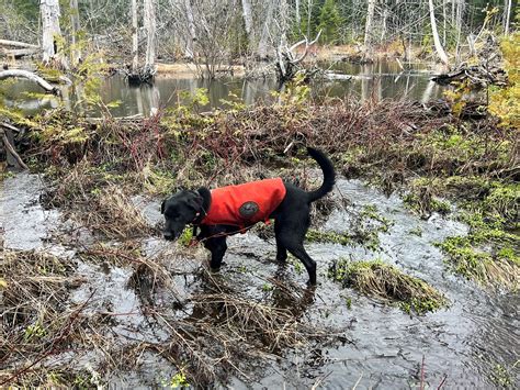 Missing Cold Case Update Within The Last Few Days We Got Word That A