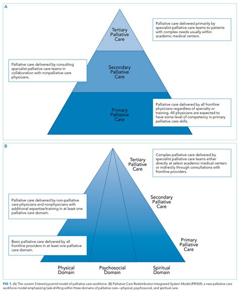 a model to improve hospital based palliative care the palliative care