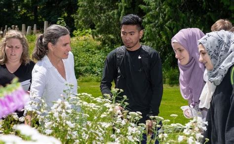 Two Gold Stars For Uw Bothell News