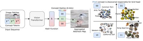 Concepthash Interpretable Fine Grained Hashing Via Concept Discovery