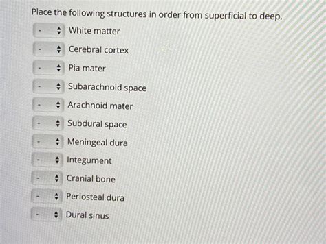 Solved Place The Following Structures In Order From