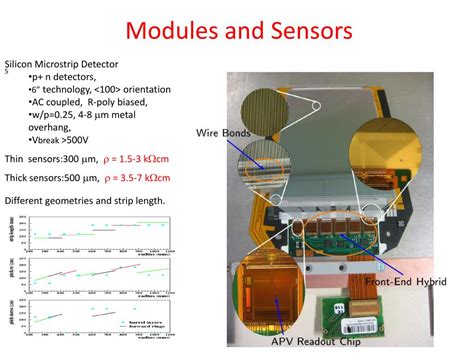 PPT The CMS Strip Tracker Detector Status And Operations PowerPoint Presentation ID 1920786