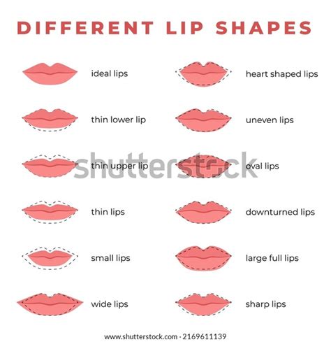 Lips Shape Chart Over Royalty Free Licensable Stock Illustrations Drawings Shutterstock