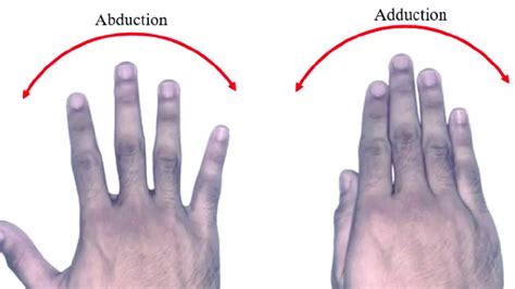 6 Hand Exercises For Multiple Sclerosis Strengthening And Enhancing