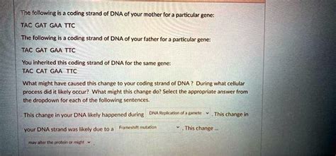 Solved The Fcllcwing Is A Coding Strand Of Dna Of Your Mother For A