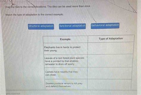 Solved Drag The Tiles To The Correct Locations The Tiles Can Be Used More Than Once Match The