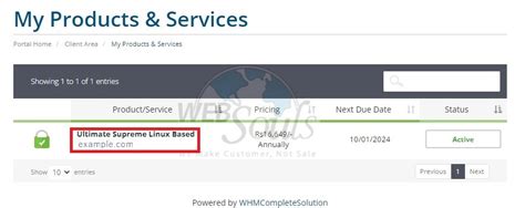 How To Login To Cpanel From The Client Area Knowledgebase Websouls