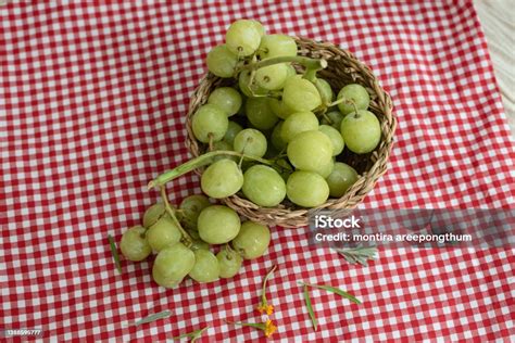 잘 익은 녹색 한국 포도 과일은 나무 대나무 바구니 에 넣어 손으로 천 배경을 만들었습니다 0명에 대한 스톡 사진 및 기타