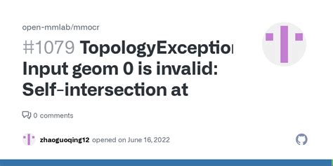 Topologyexception Input Geom 0 Is Invalid Self Intersection At