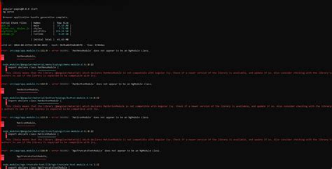 Angular Giving Build Errors When We Serve Stack Overflow