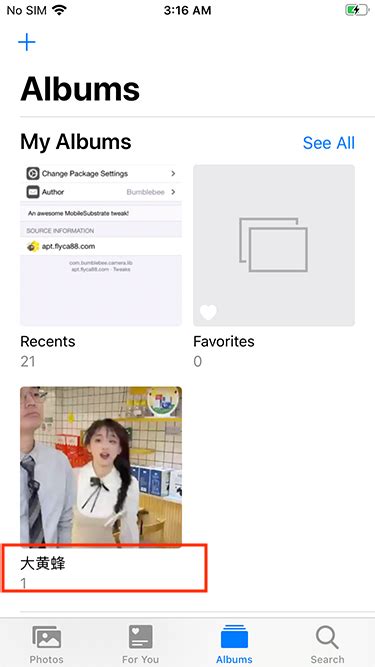 虚拟相机ios手机端安装教程 iphone虚拟摄像头插件 csdn博客