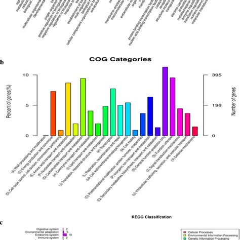 A The Map Of Goclassification Annotation B The Map Of Cog